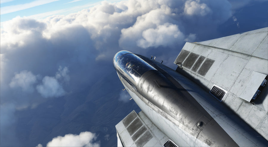 Microsoft Flight Simulator F-14 Tomcat – Heatblur Store